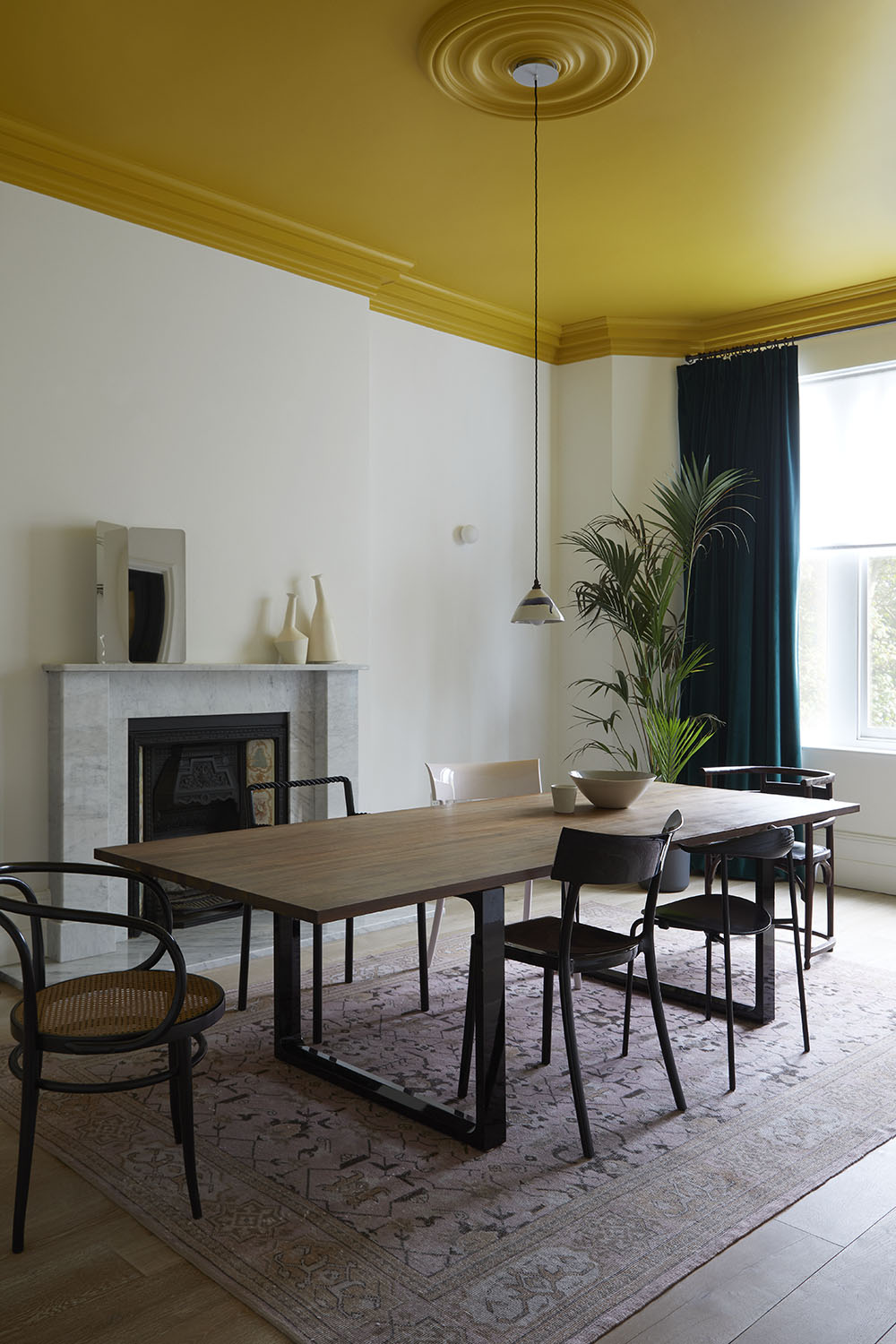 Primrose Hill → Jill Macnair